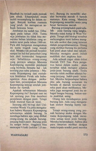 Manusia kepompong (Mothman) | PDF