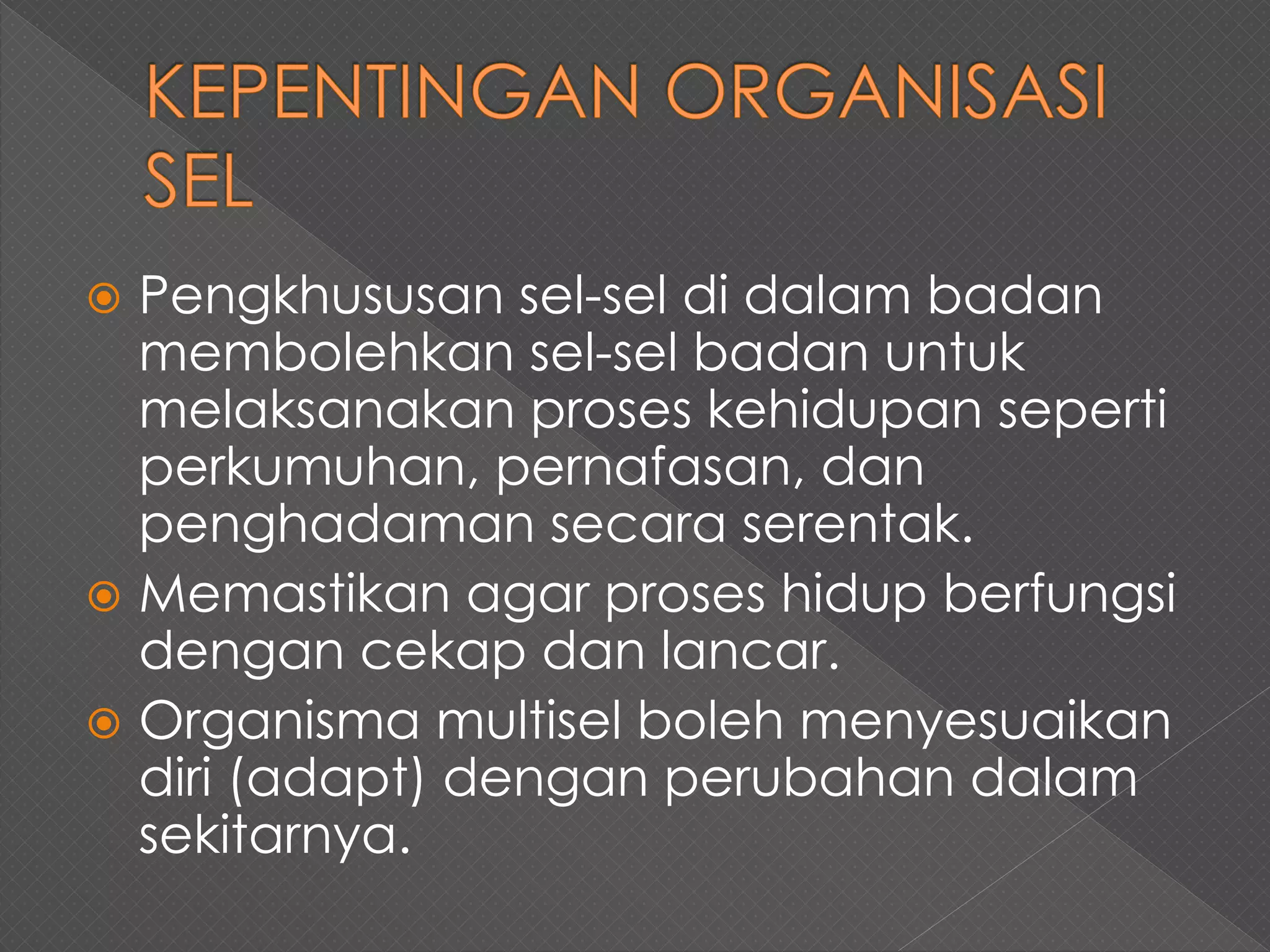 Manusia Merupakan Organisma Yang Kompleks | PPTX