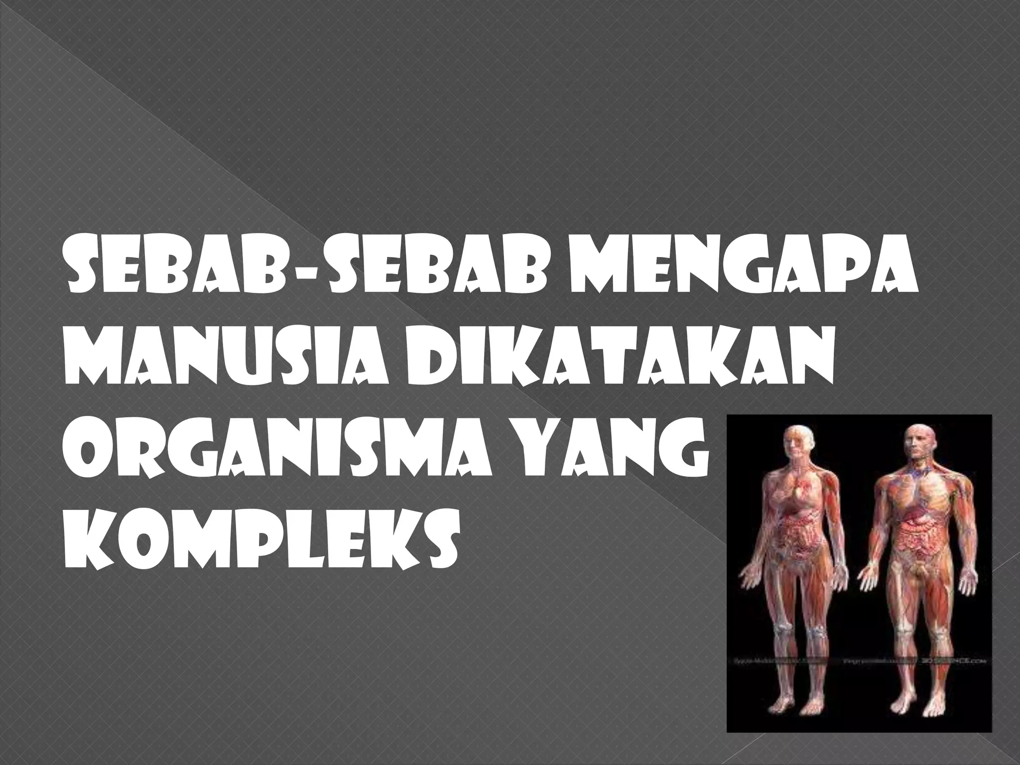 Manusia Merupakan Organisma Yang Kompleks | PPTX