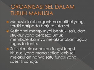 Manusia Merupakan Organisma Yang Kompleks | PPTX