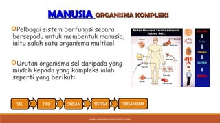 Manusia organisma kompleks ast at 12.30pm
