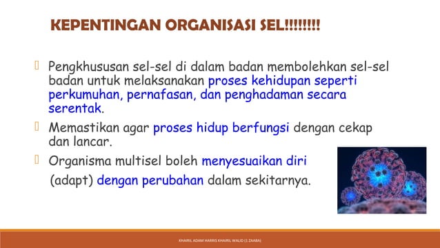 Manusia organisma kompleks ast at 12.30pm