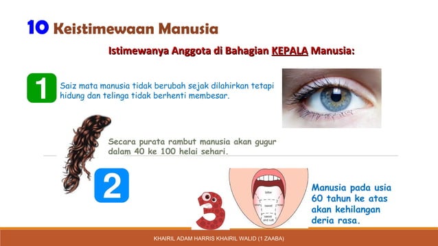 Manusia organisma kompleks ast at 12.30pm