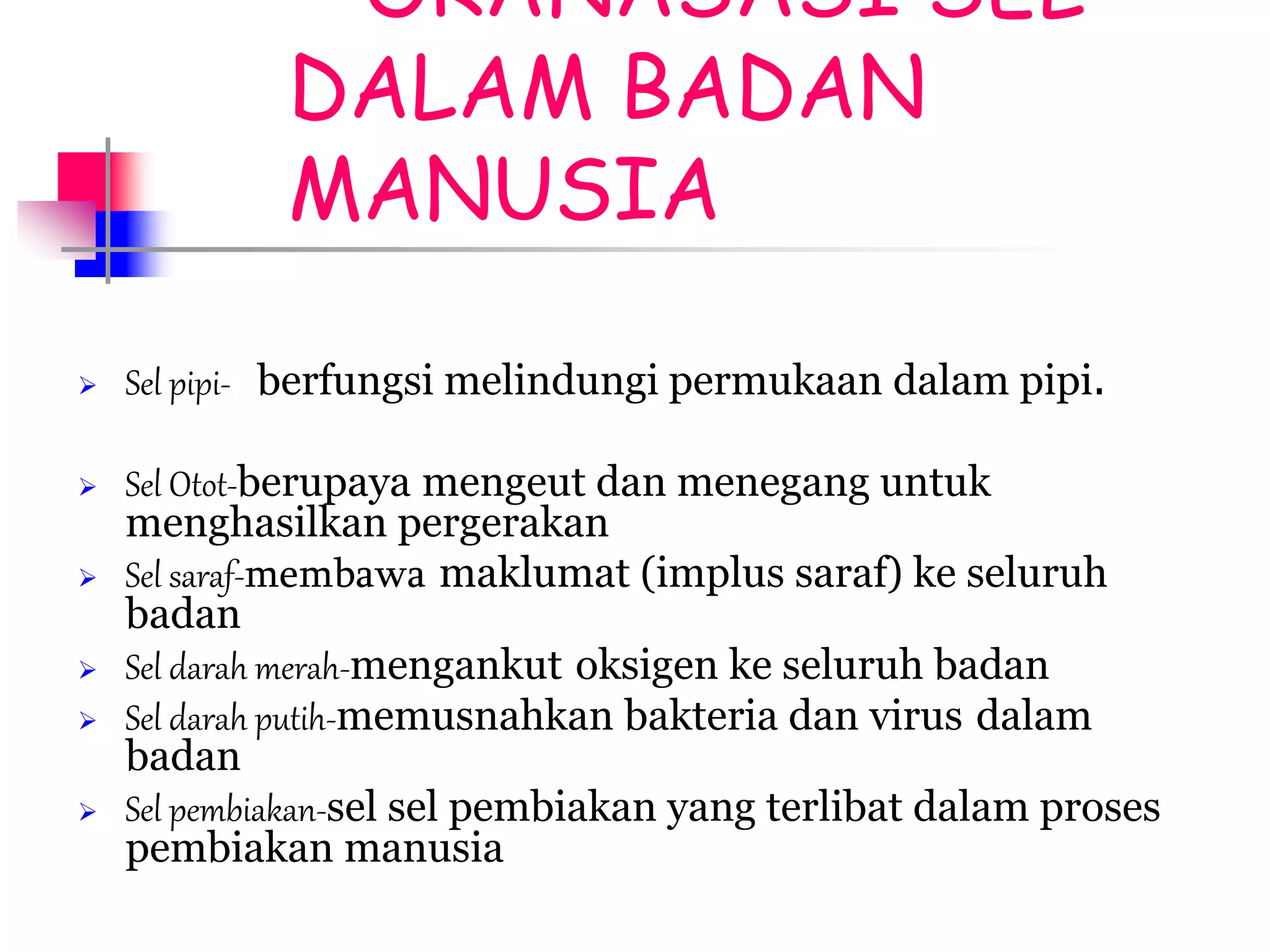 Manusia organisma kompleks bab2 | PPT