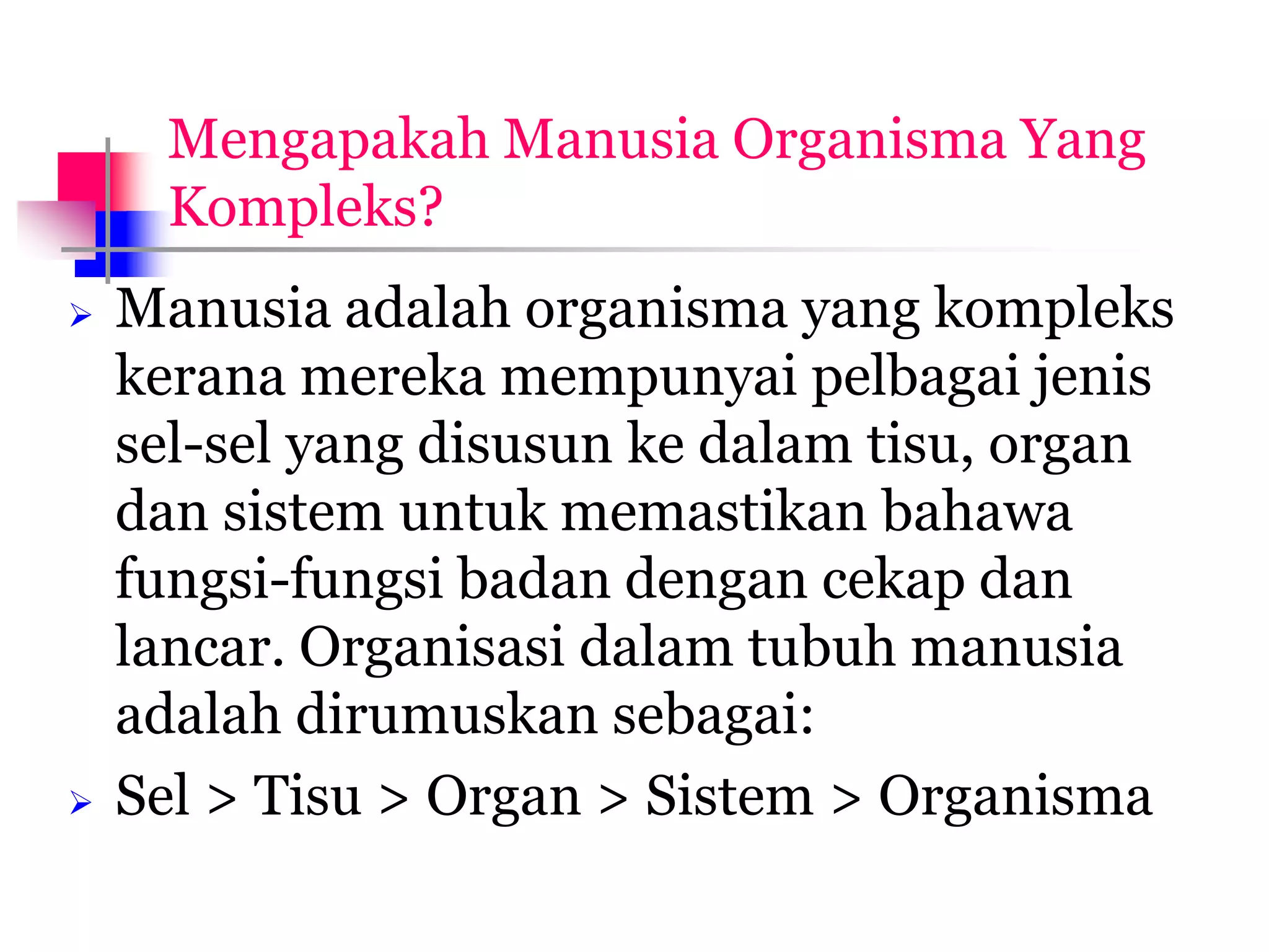 Manusia organisma kompleks bab2 | PPT