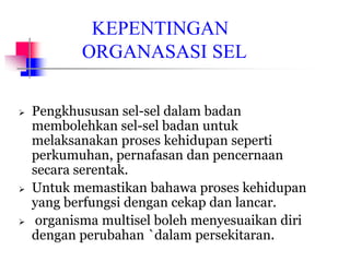 Manusia organisma kompleks bab2 | PPT