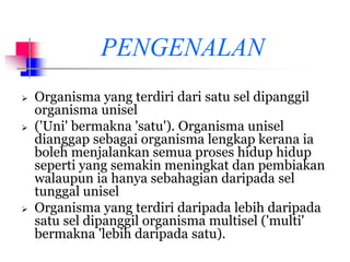 Manusia organisma kompleks bab2 | PPT