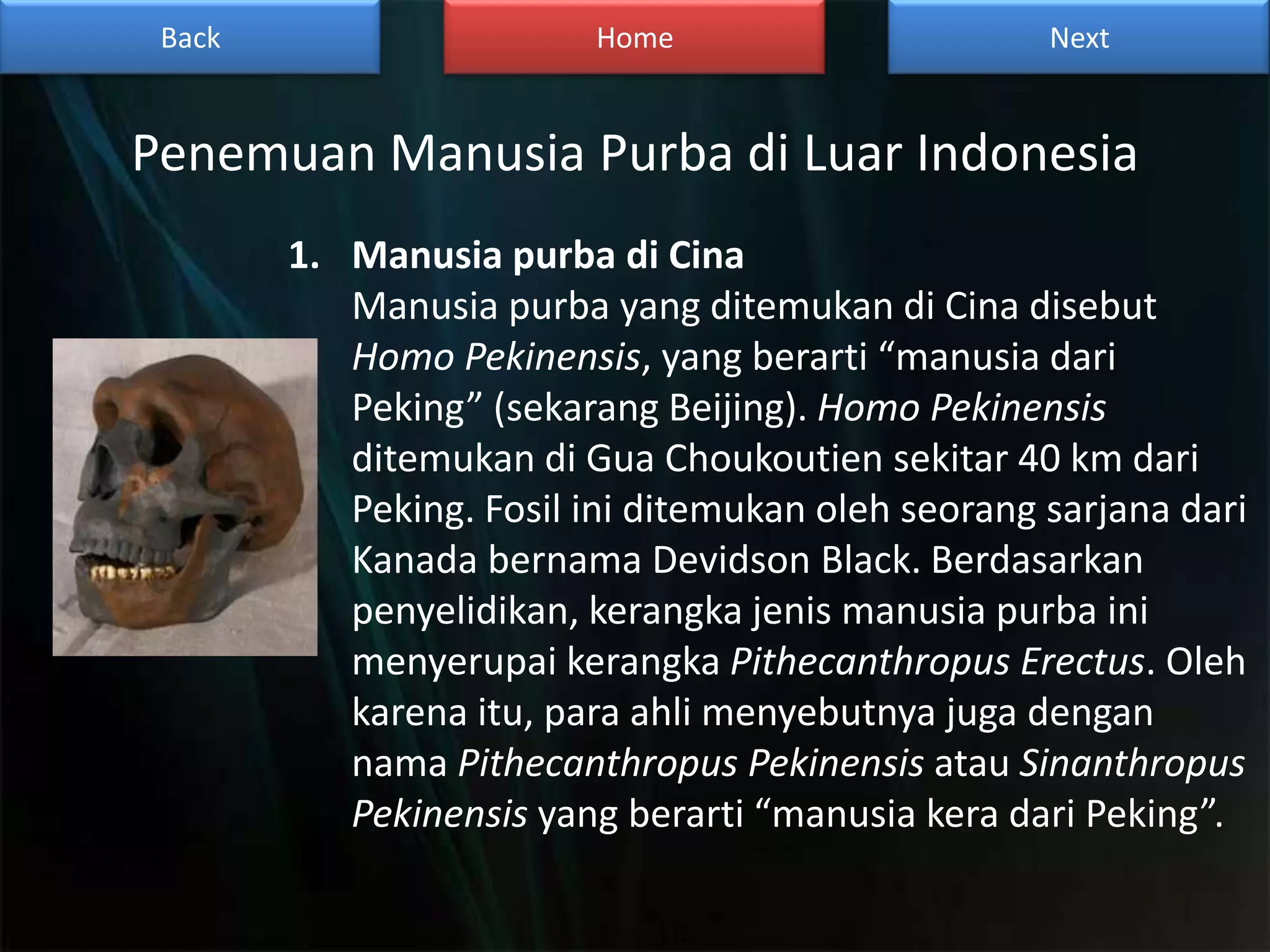 Manusia purba | PPTX