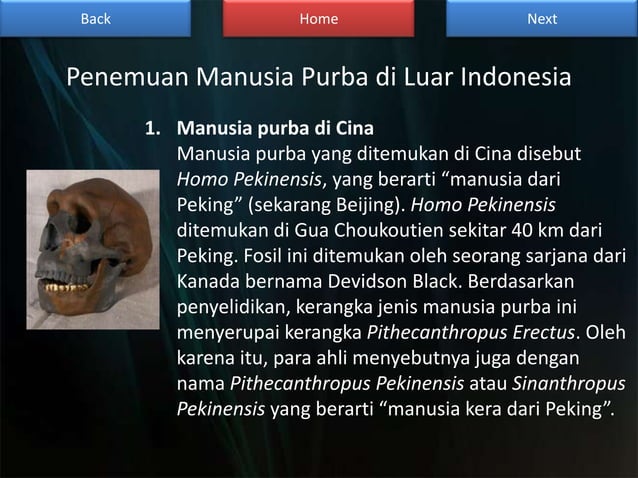 Manusia purba | PPTX