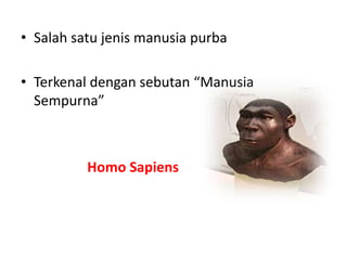 Manusia purba | PPTX