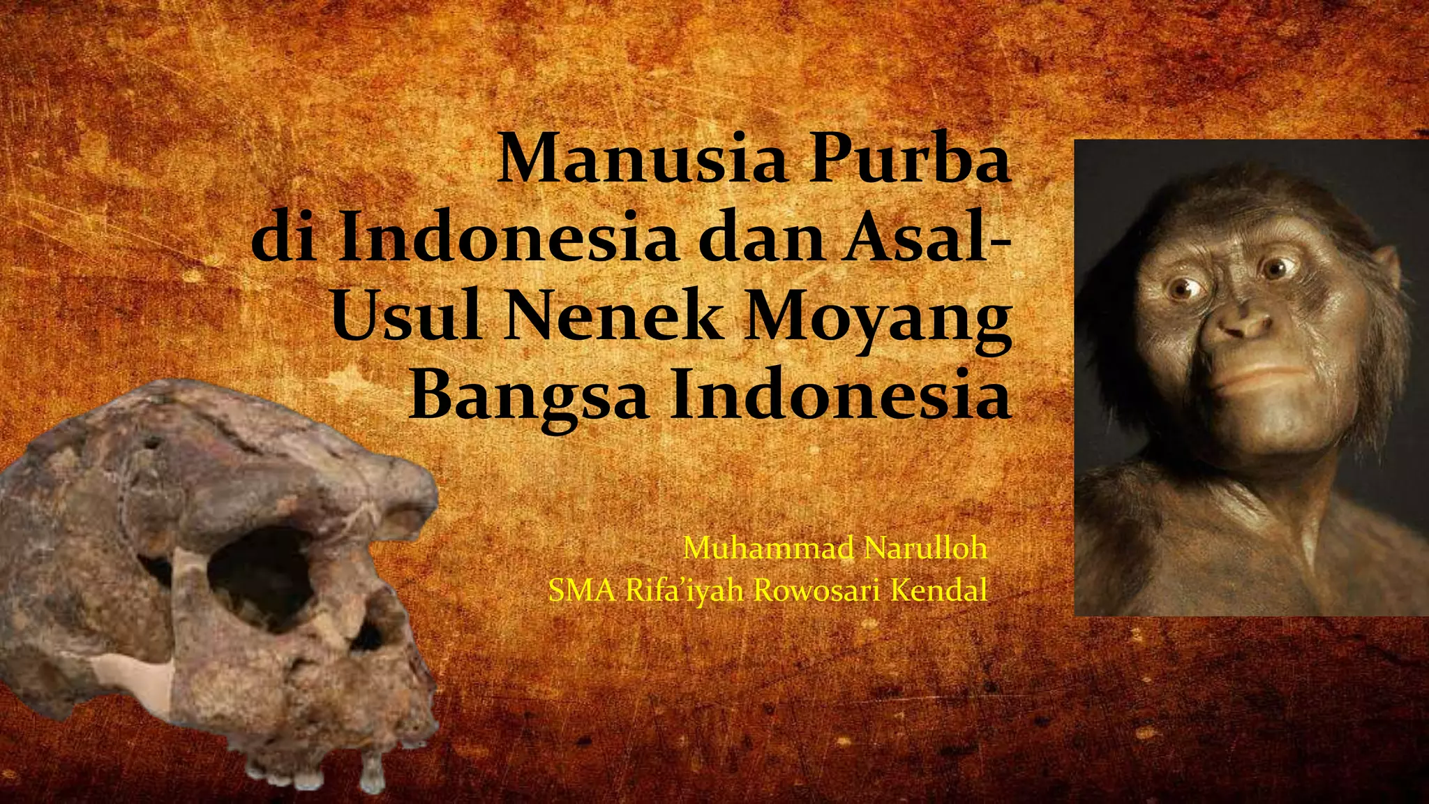 Manusia purba | PPT
