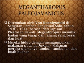 Manusia purba2 | PPT