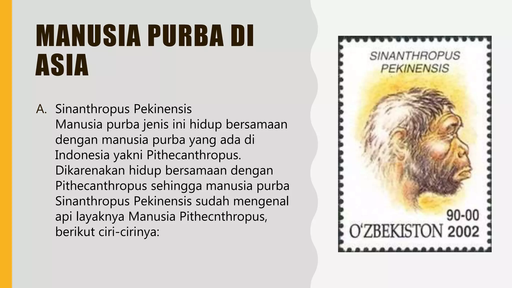 Manusia purba asia | PPTX