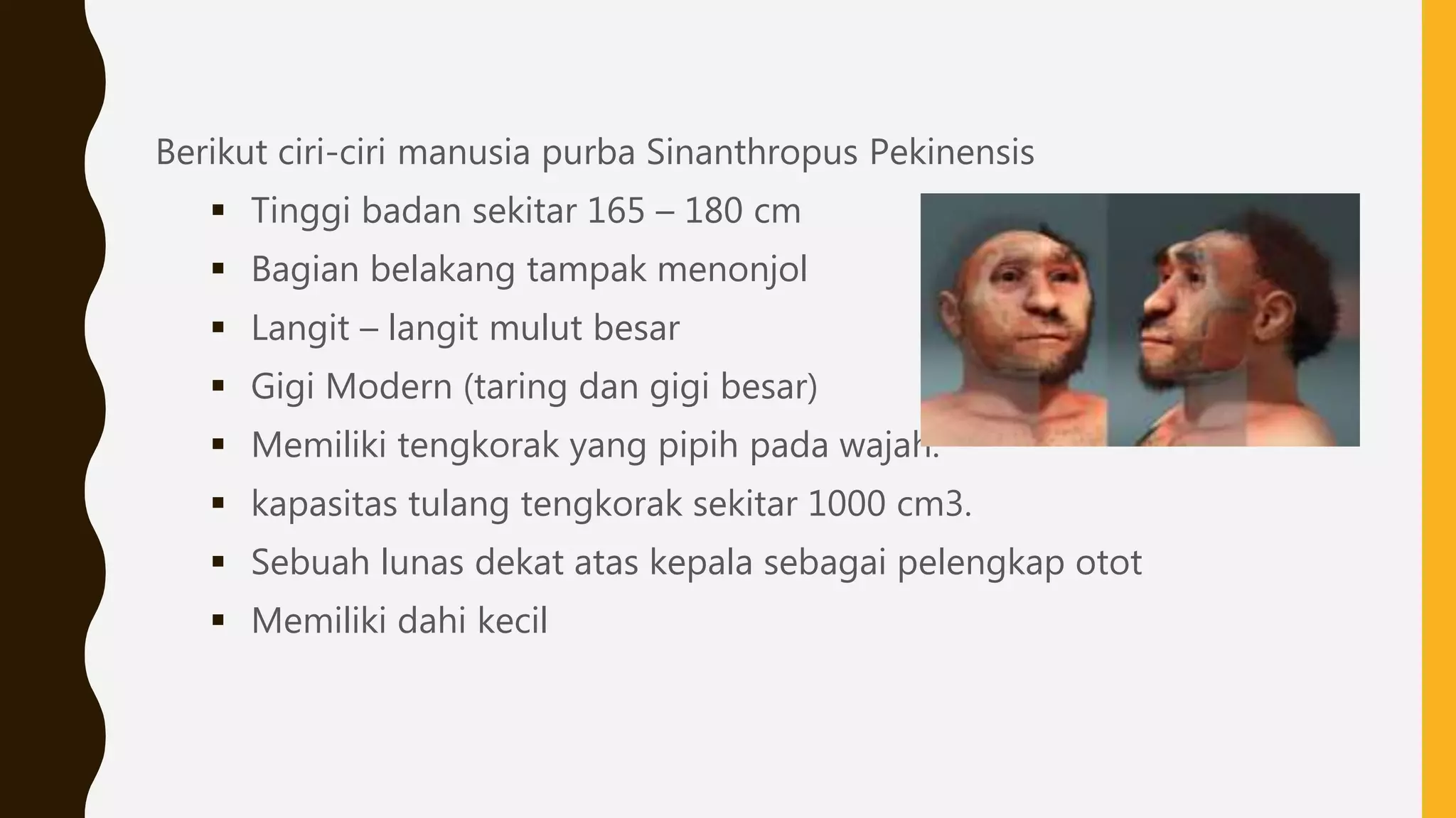 Manusia purba asia | PPTX
