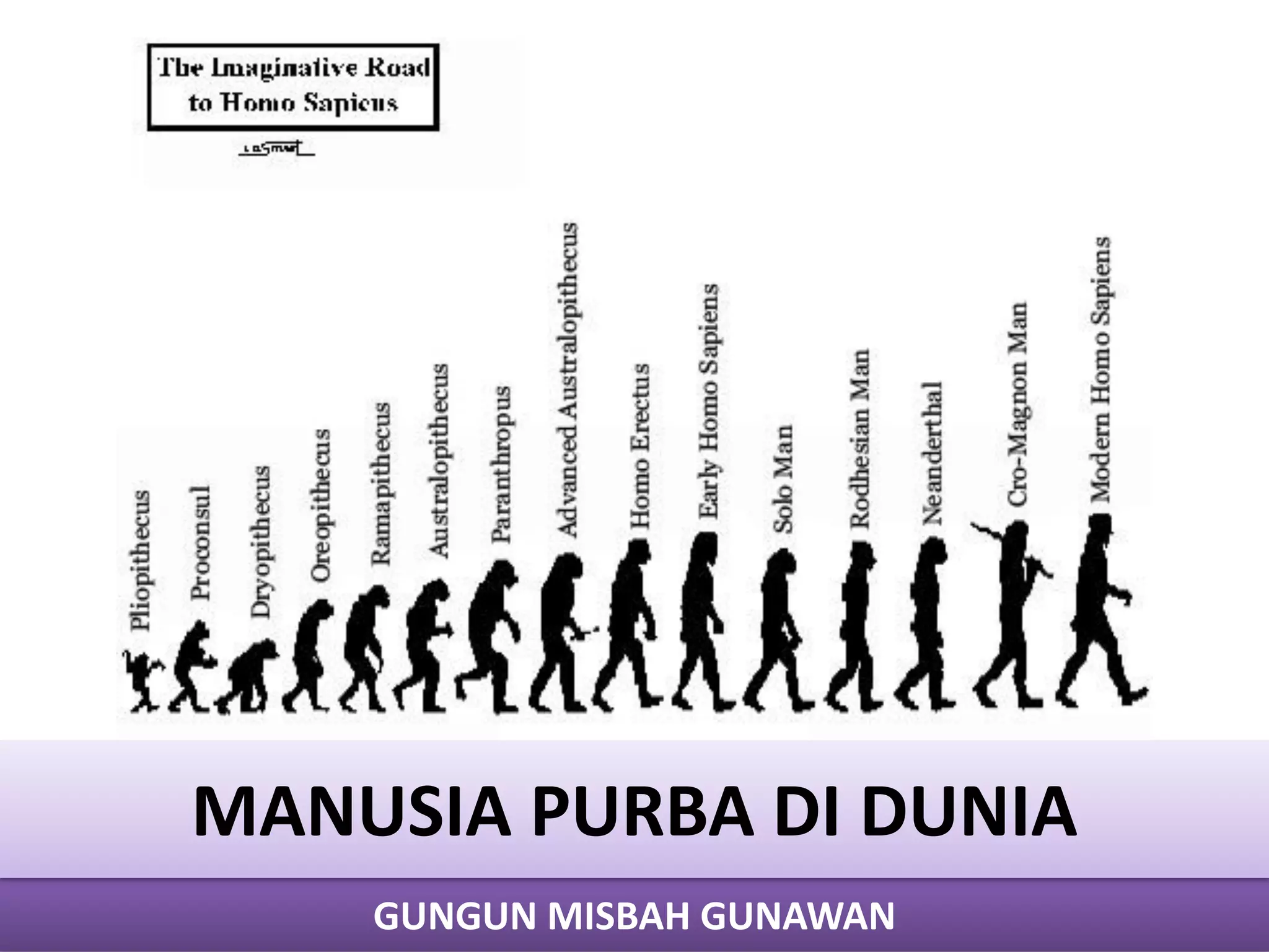 Manusia purba di dunia | PDF