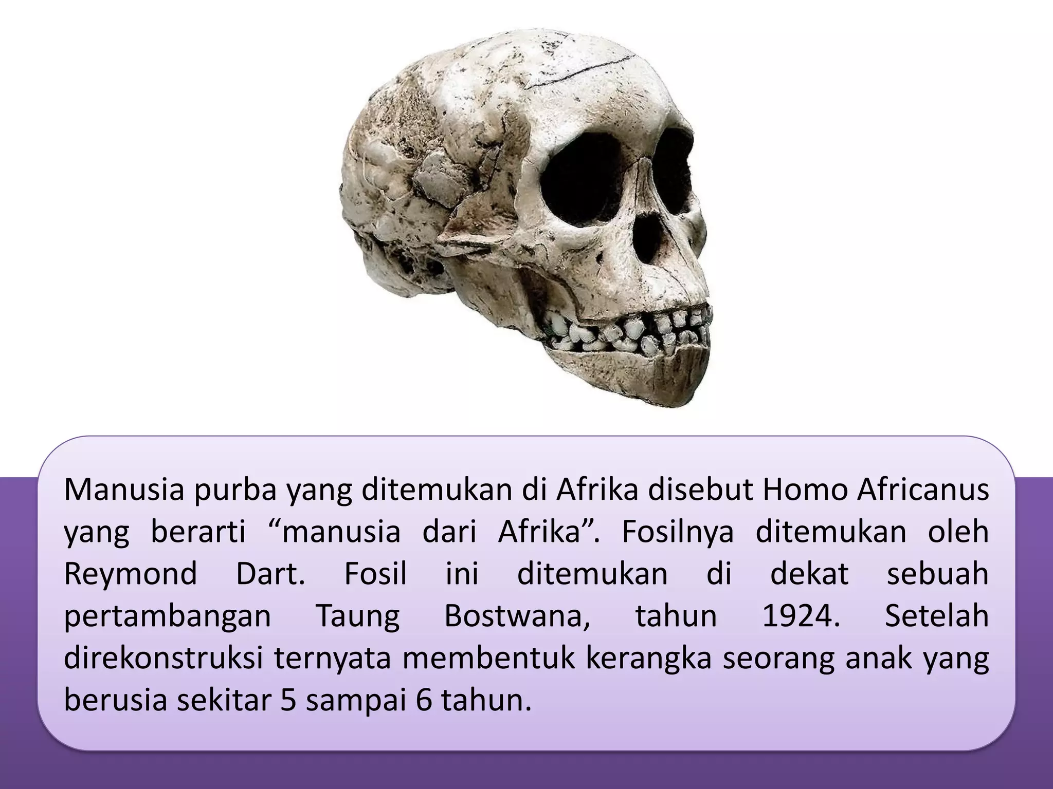 Manusia purba di dunia | PDF