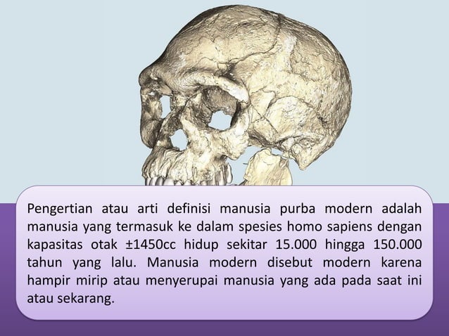Manusia purba di dunia | PDF
