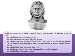 Manusia purba di dunia | PPT