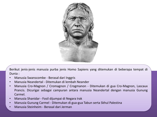 Manusia purba di dunia | PDF