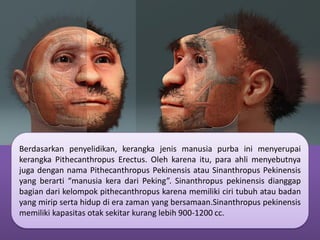 Manusia purba di dunia | PDF