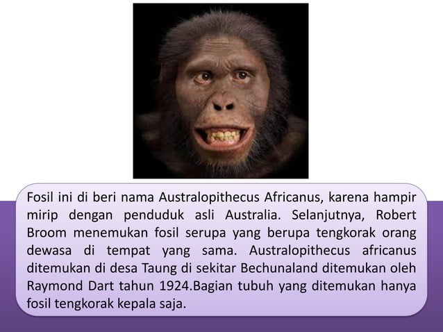 Manusia purba di dunia | PDF