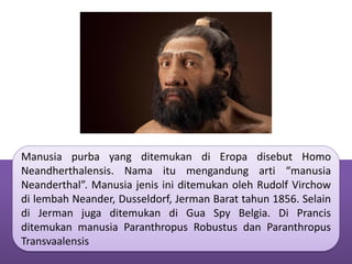 Manusia purba di dunia | PDF