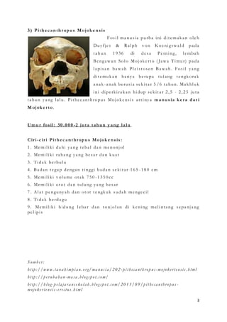 Manusia Purba di Indonesia | PDF