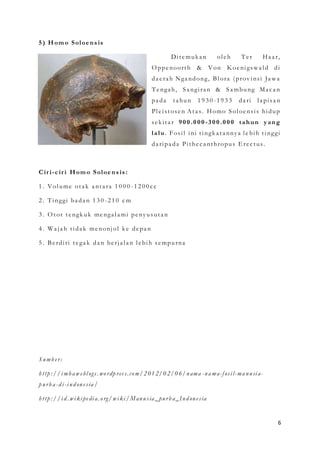 Manusia Purba di Indonesia | PDF
