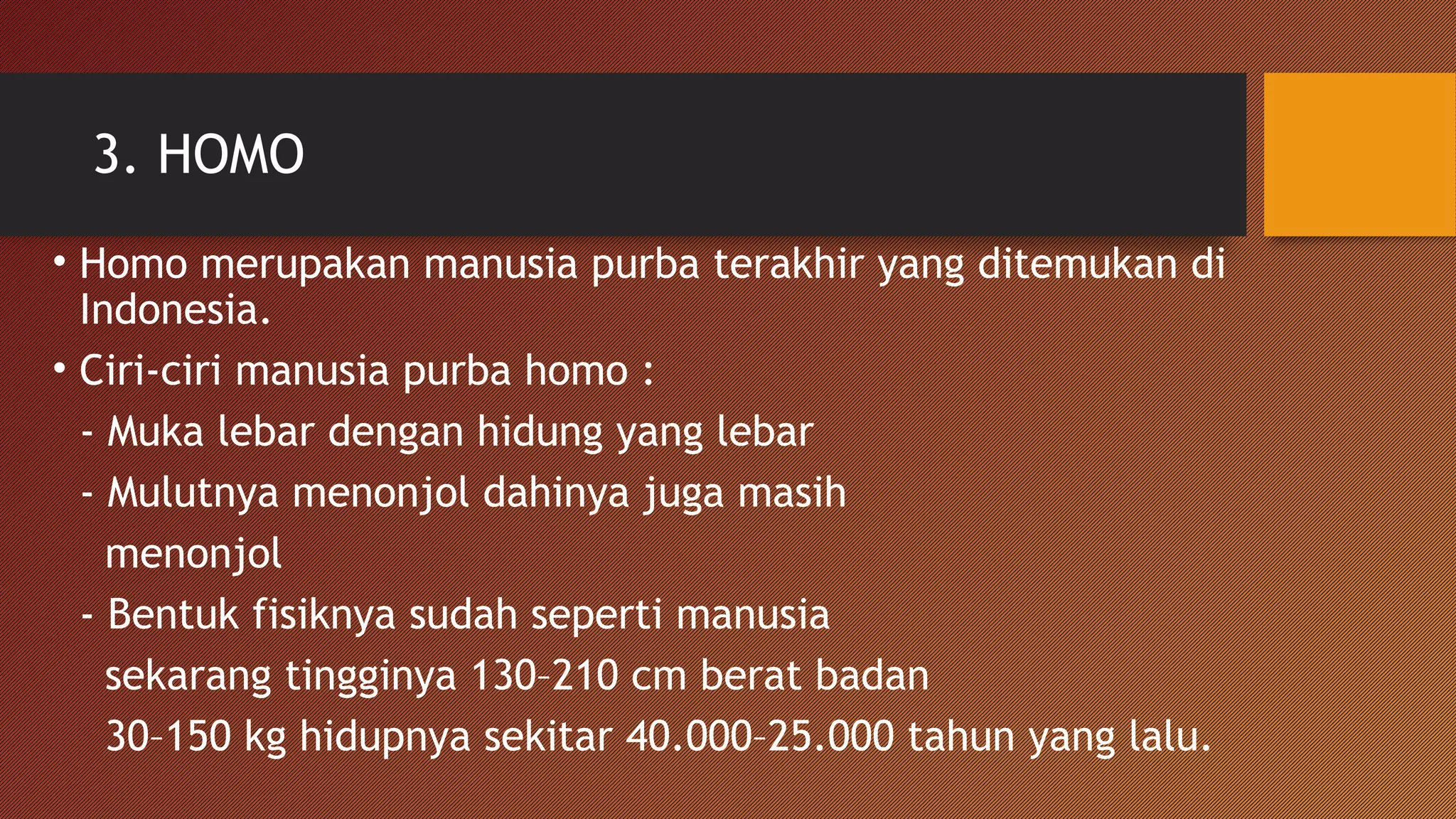 Manusia purba di indonesia | PPT