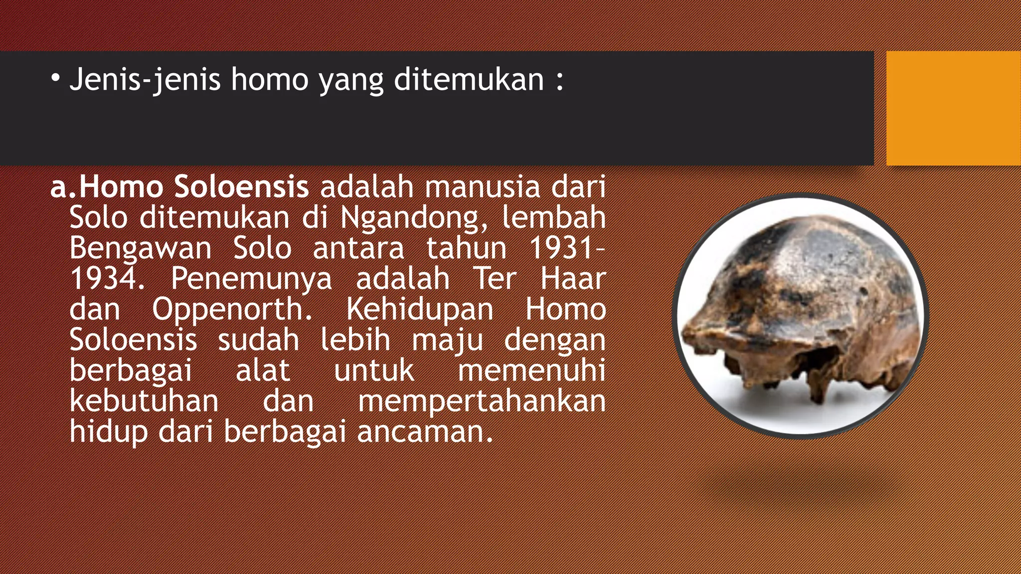 Manusia purba di indonesia | PPT