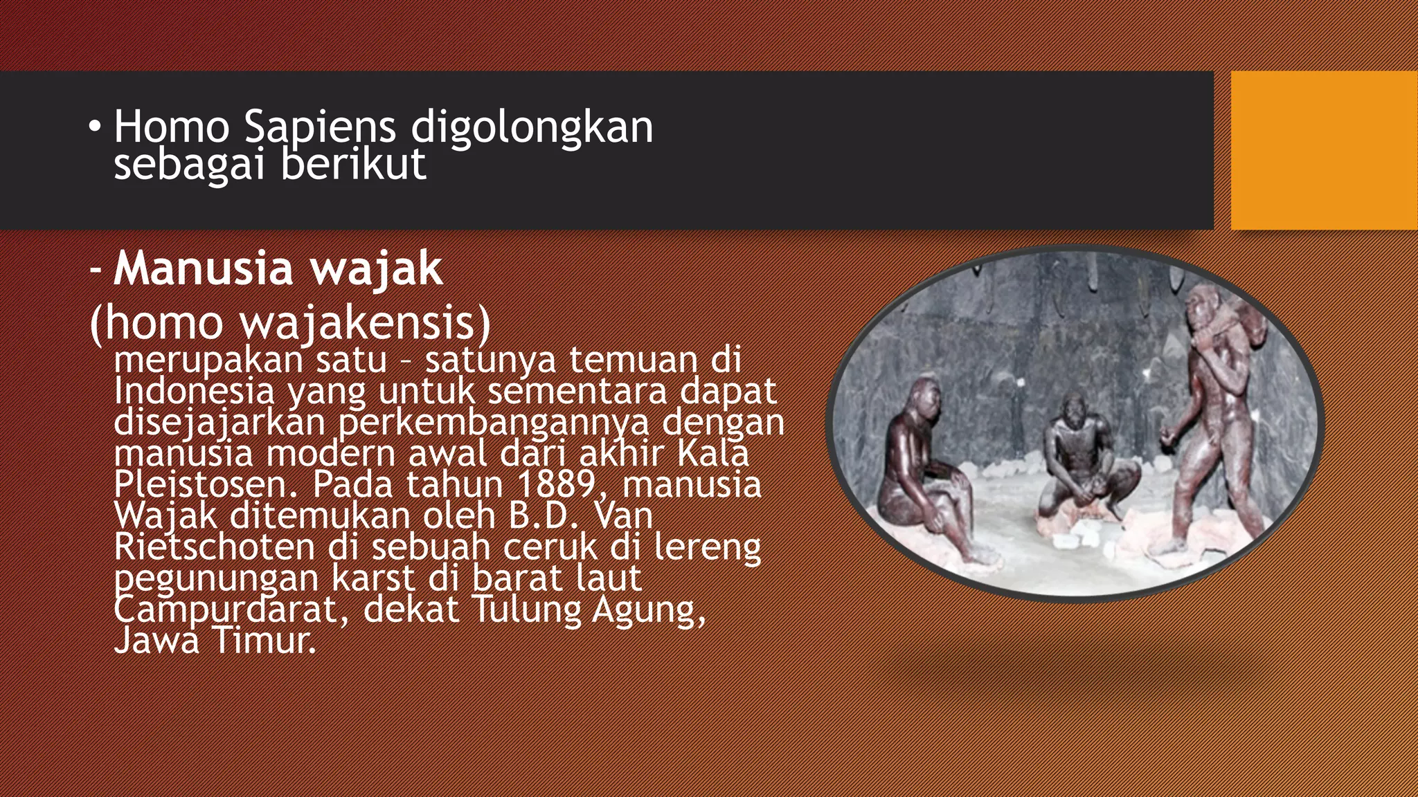 Manusia purba di indonesia | PPT