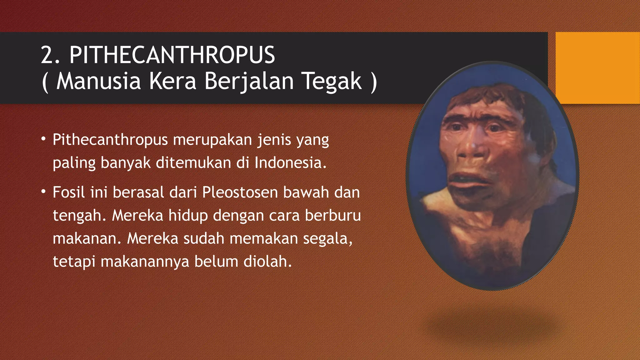 Manusia purba di indonesia | PPT