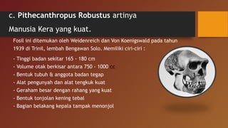 Manusia purba di indonesia | PPT