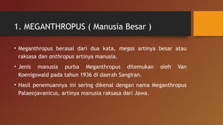 Manusia purba di indonesia | PPT