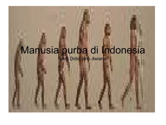 Manusia purba di indonesia | PPT