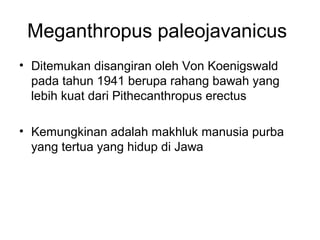 Manusia purba di indonesia | PPT