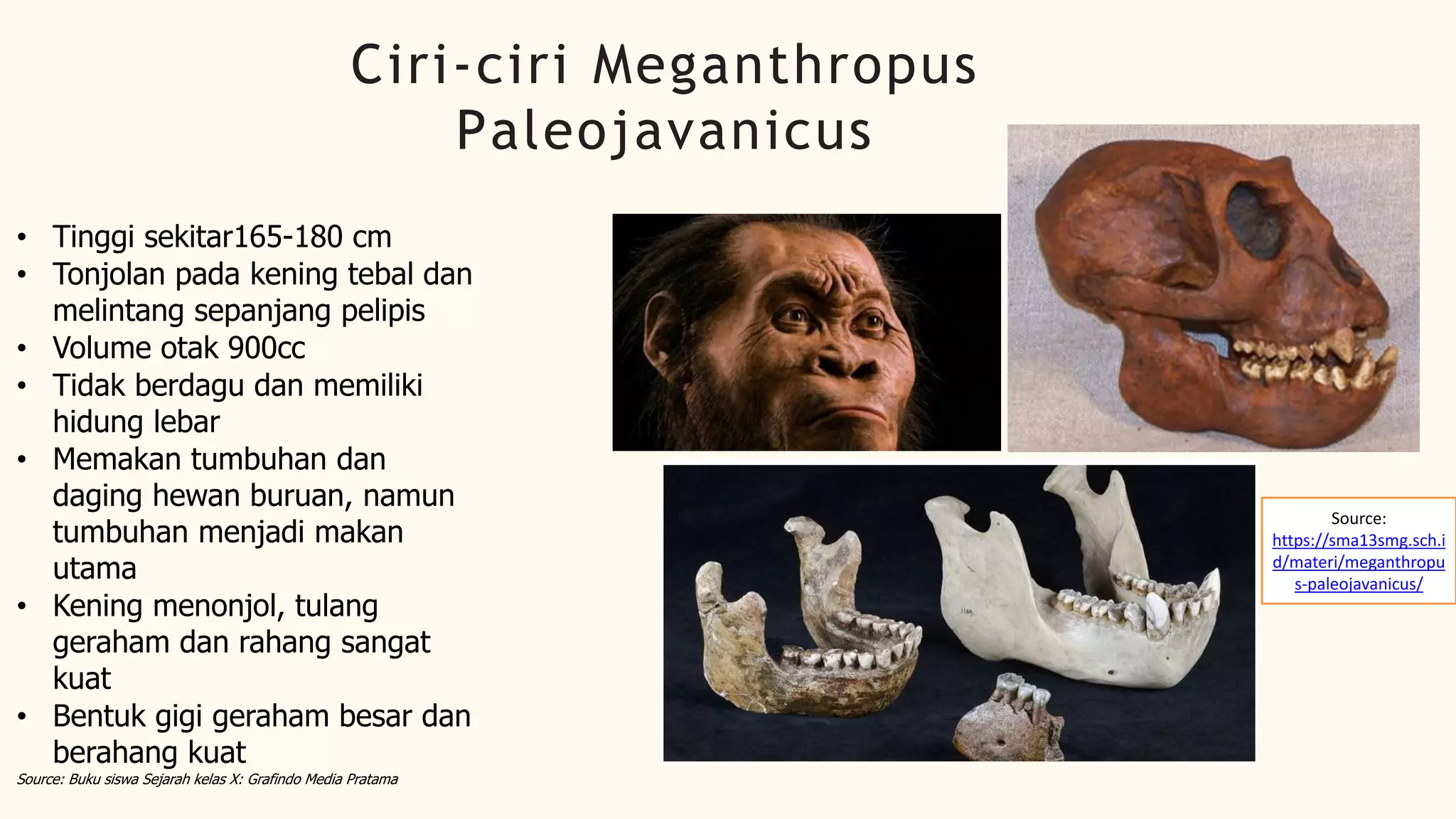 Manusia Purba di Indonesia.pptx