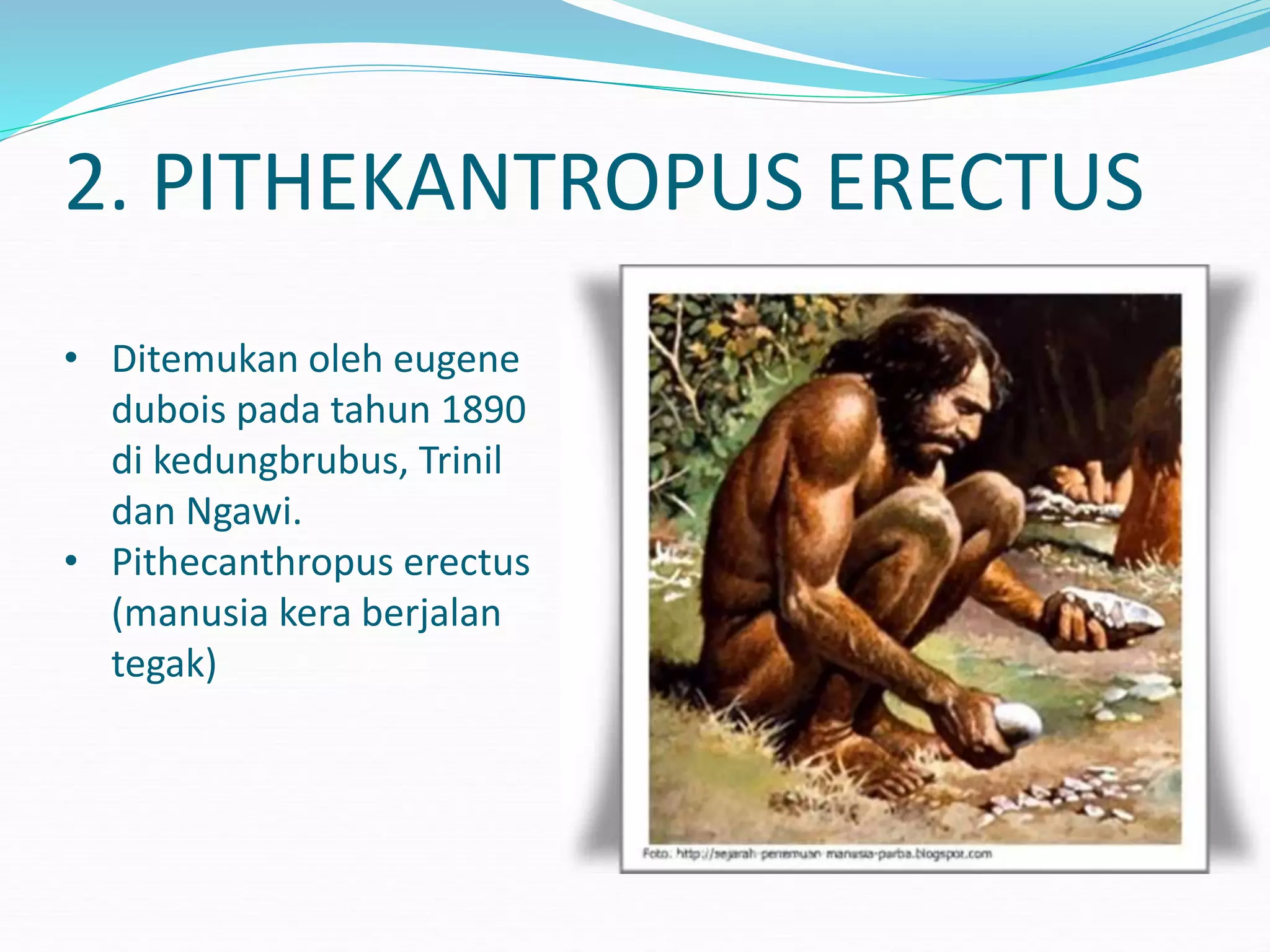 MANUSIA PURBA DI INDONESIA.ppt