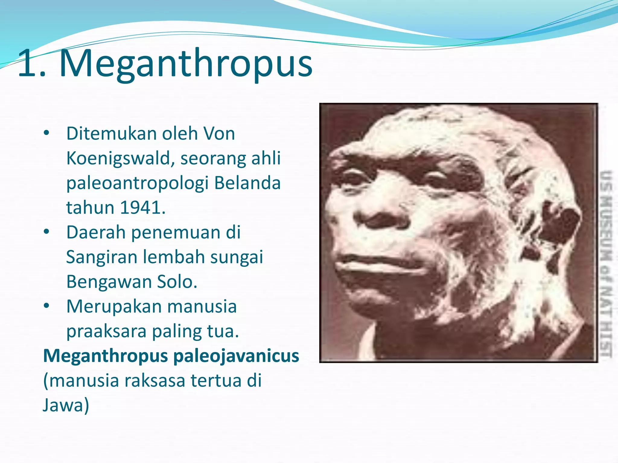 MANUSIA PURBA DI INDONESIA.ppt