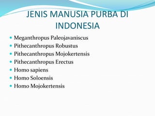 MANUSIA PURBA DI INDONESIA.ppt
