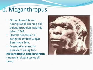 MANUSIA PURBA DI INDONESIA.ppt