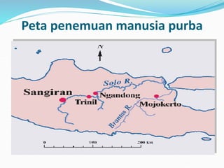 MANUSIA PURBA DI INDONESIA.ppt