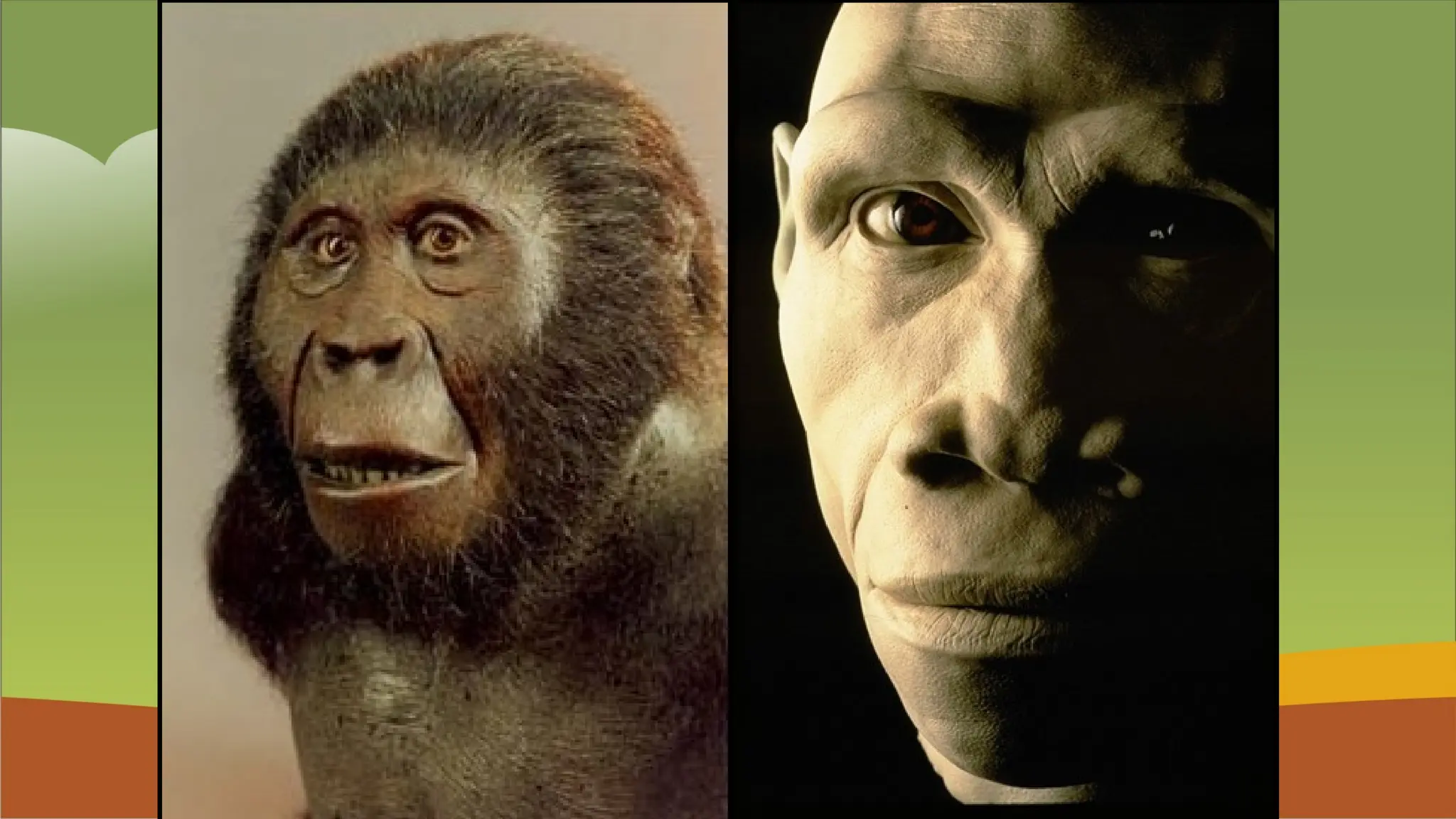 JENIS-JENIS MANUSIA PURBA INDONESIA.pptx