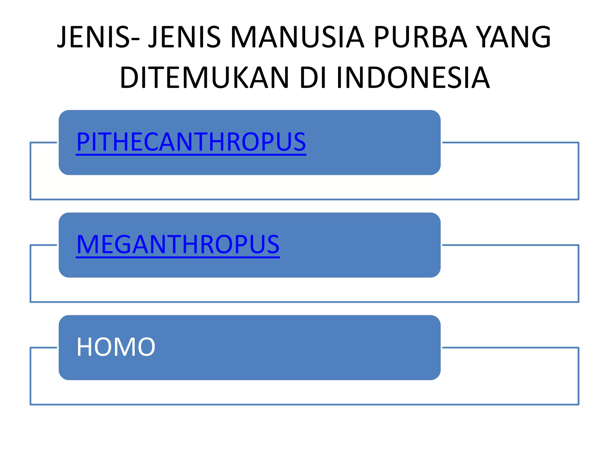 Manusia purba yang ditemukan di indonesia | PPT