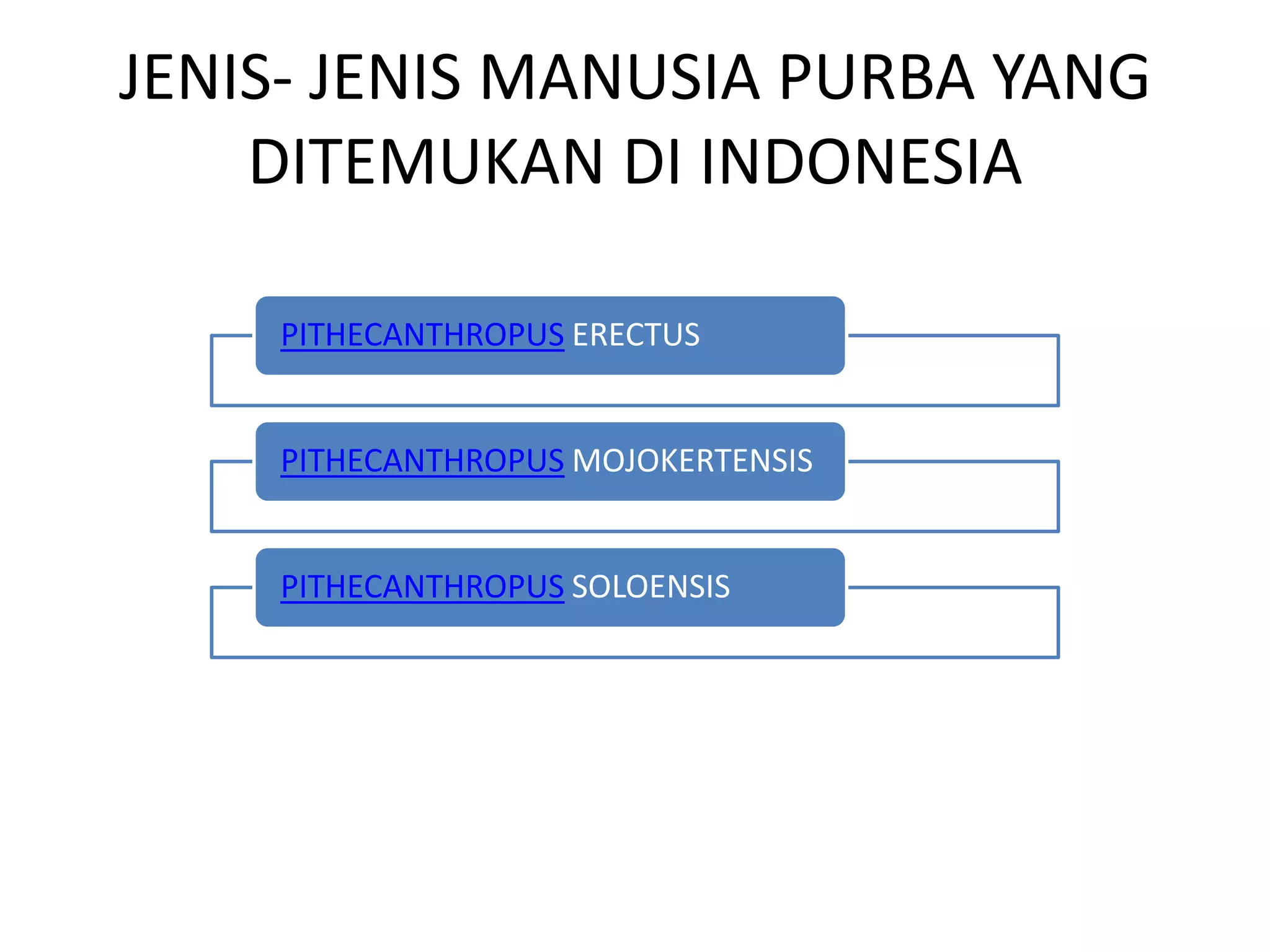 Manusia purba yang ditemukan di indonesia | PPT