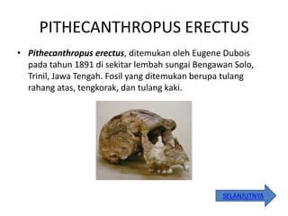 Manusia purba yang ditemukan di indonesia | PPT