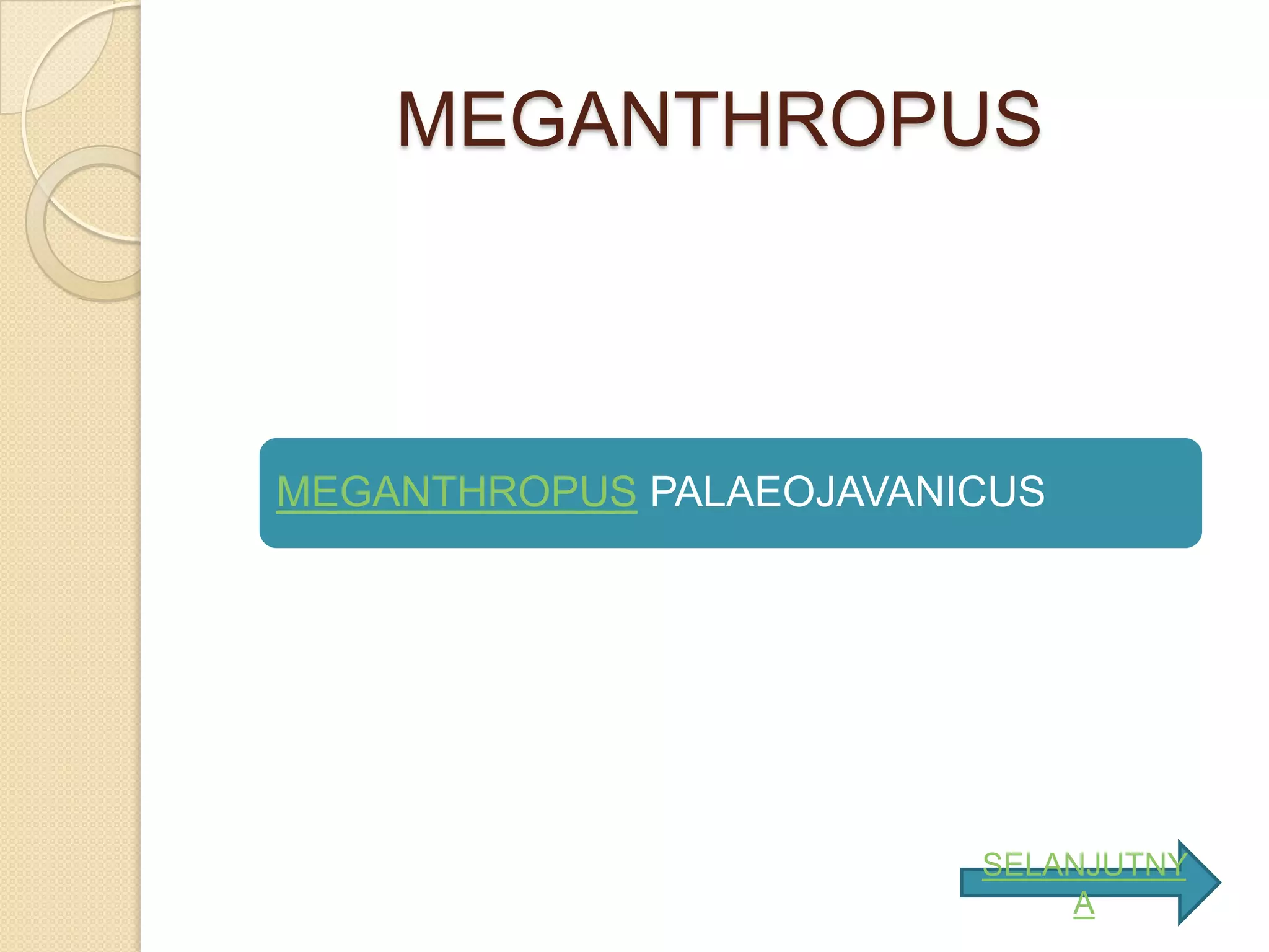 Manusia purba yang ditemukan di indonesia 2 | PPTX