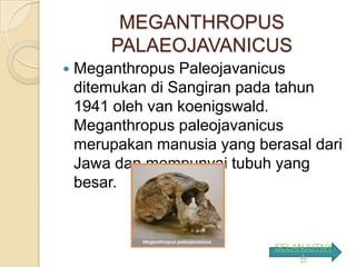 Manusia purba yang ditemukan di indonesia 2 | PPTX