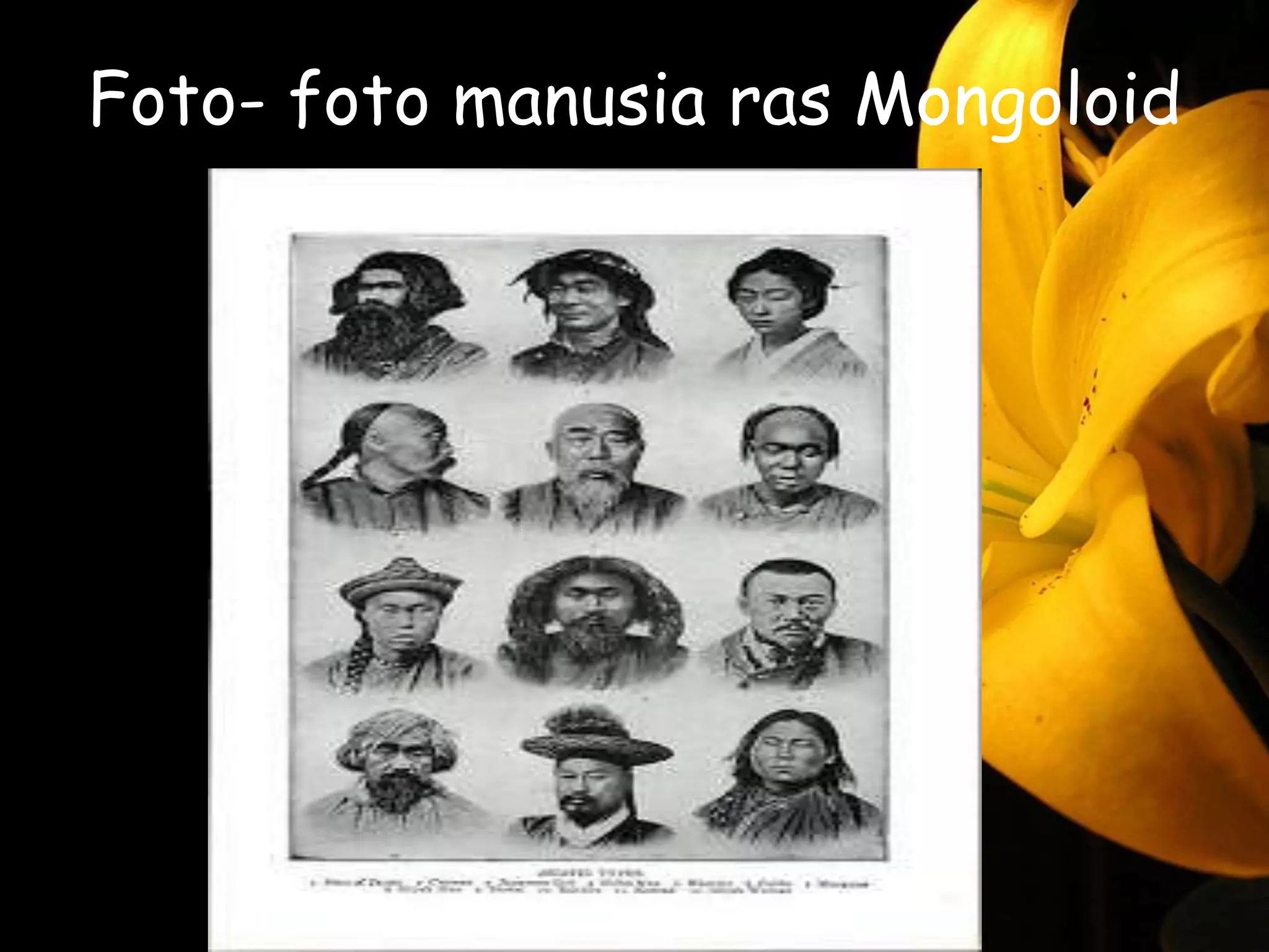 RAS MONGOLOID | PPT