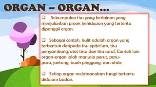 Manusia sebagai organisma yang kompleks | PPTX